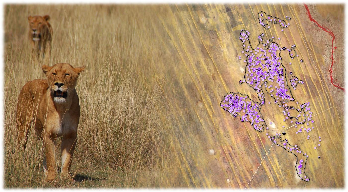 courses | EAGLE MSc program