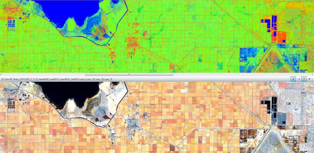 Specialisation options in EAGLE | EAGLE MSc program