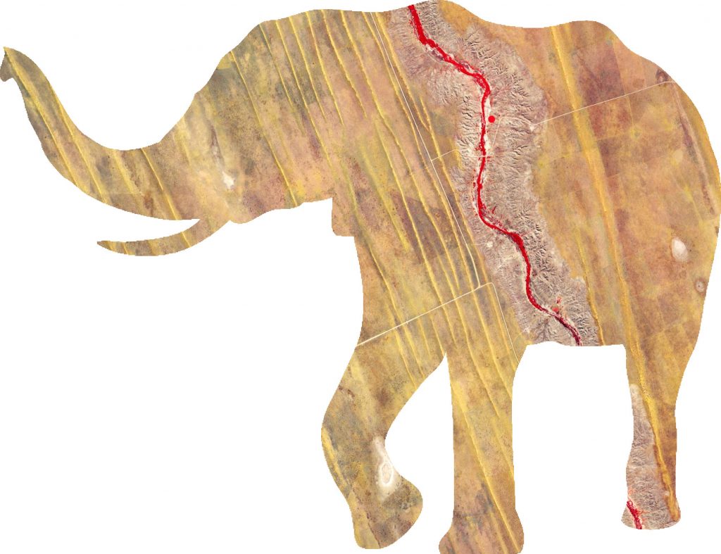 Specialisation options in EAGLE | EAGLE MSc program