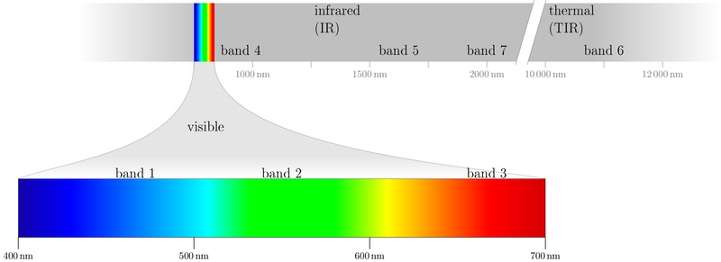 Scientific Graphics | EAGLE MSc program
